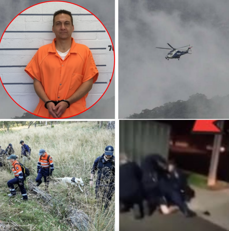 BREAKING: One Final Sign of Life — The Tiny Detail That Exposed Dezi ...